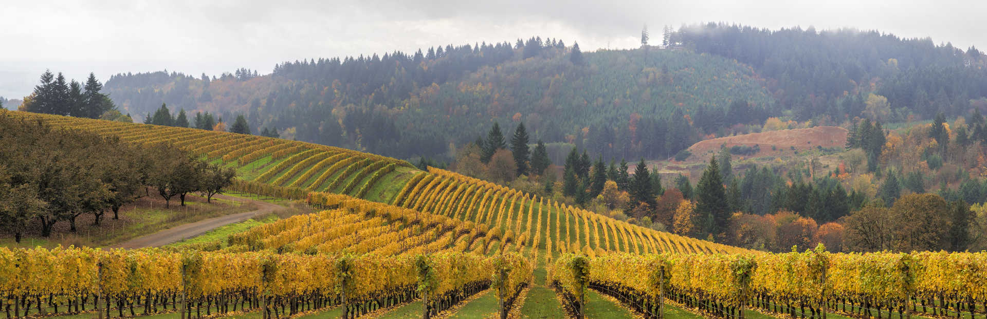 2019 September Arrive and Drive Eola Hills – Oregon Region – PCA